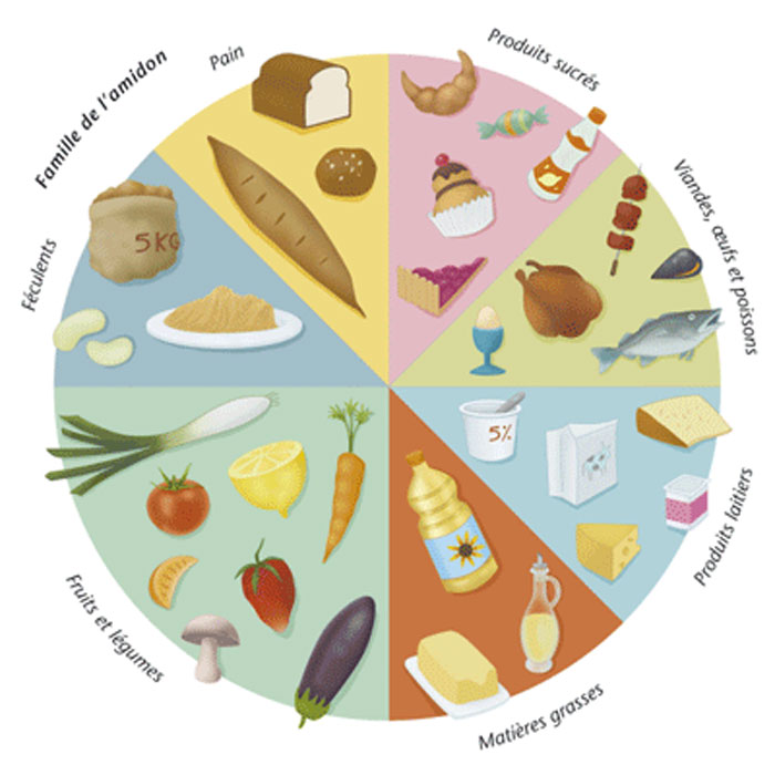 Tout savoir sur nos besoins nutritionnels quotidiens ? - DIETIS